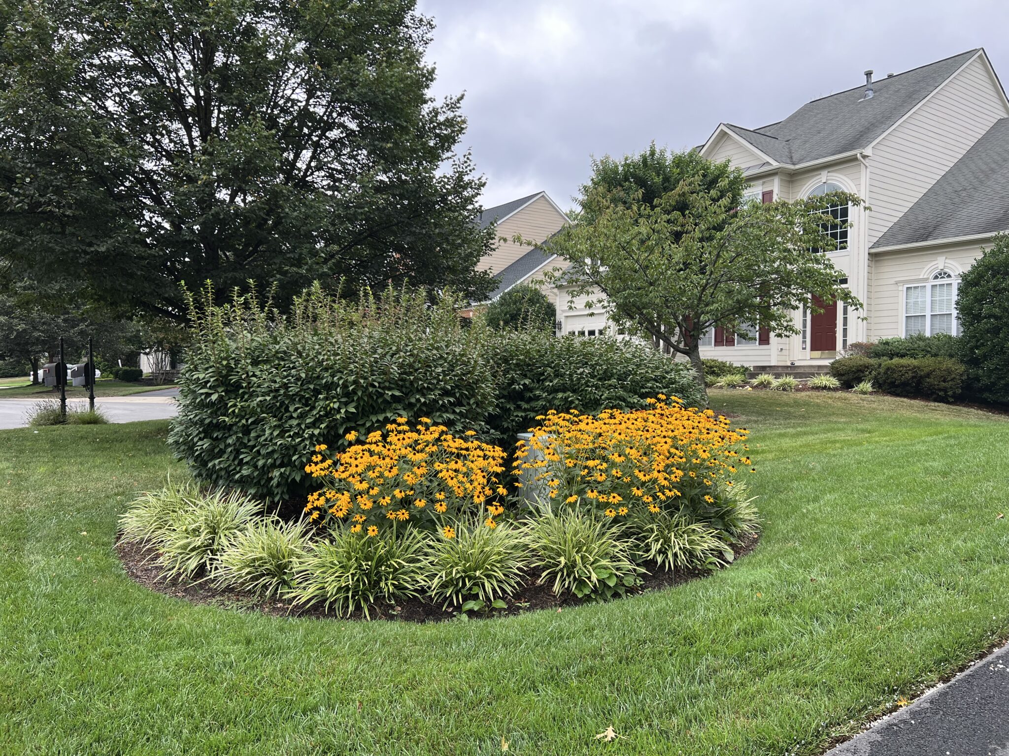 How to Effectively Hide the Transformer Box & A/C Unit in Your Yard